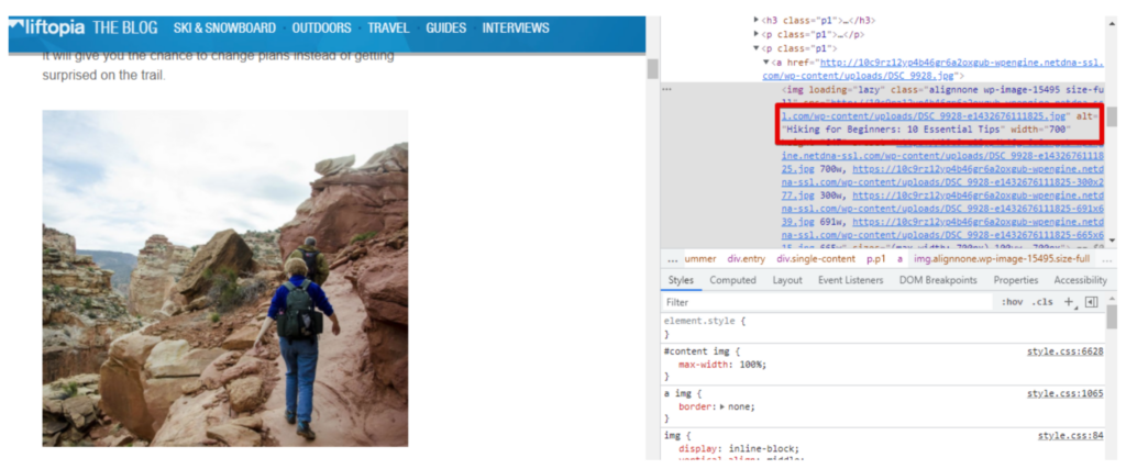 Image Alt Text: What it is and Why it’s Important - Granwehr
