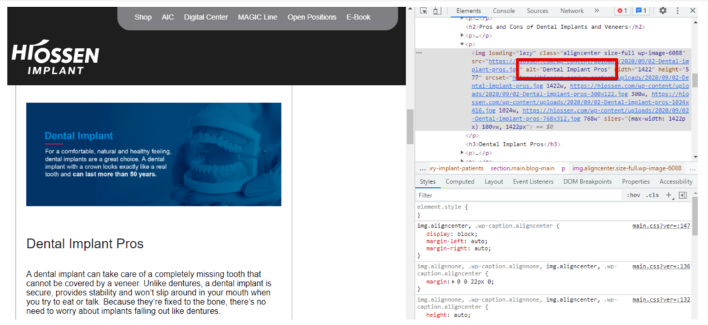 Image Alt Text: What it is and Why it’s Important - Granwehr