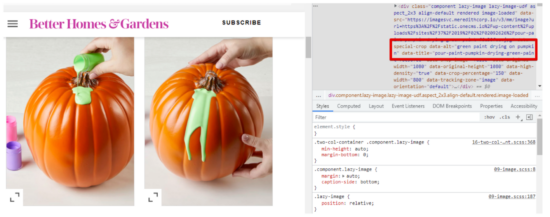 Image Alt Text: What it is and Why it’s Important - Granwehr