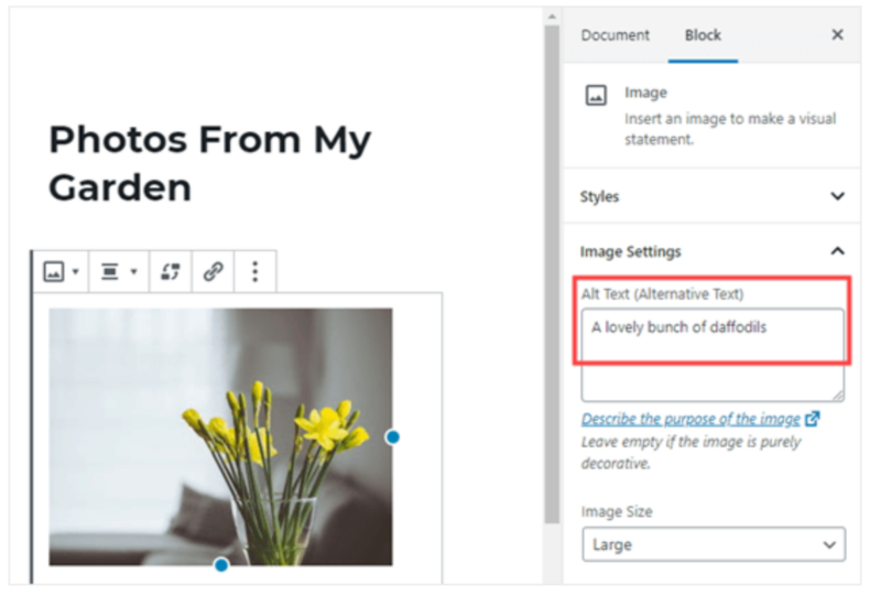 Image Alt Text: What it is and Why it’s Important - Granwehr